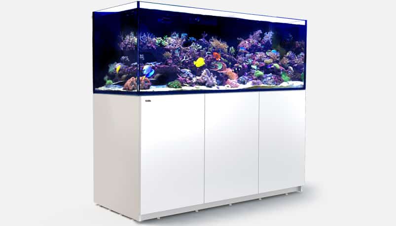 Enhancing Aquarium Flow with the Red Sea Reefer Random Flow ...